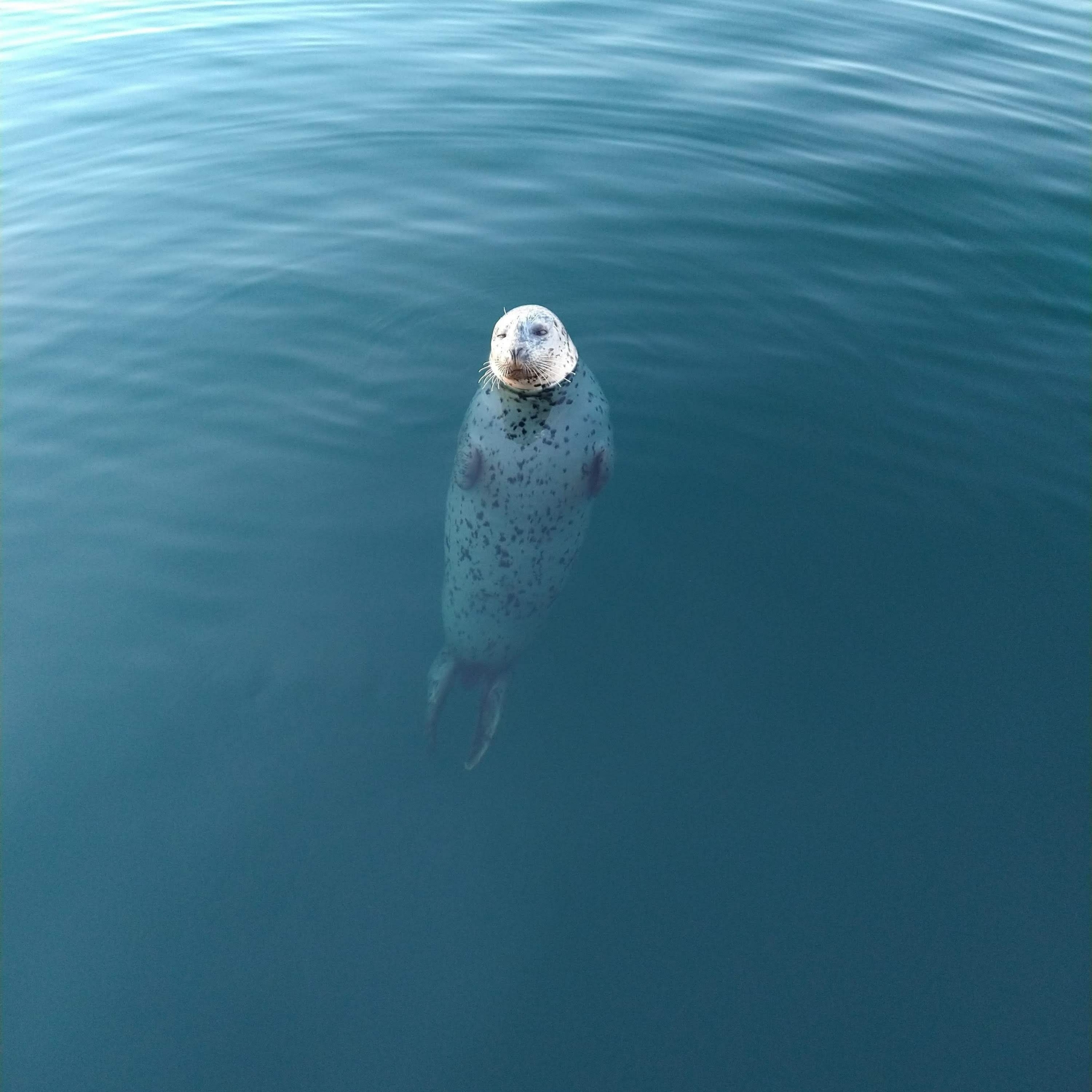 Research & Data - RWSC