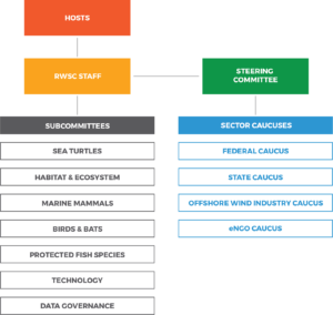 Structure and Hosts - RWSC